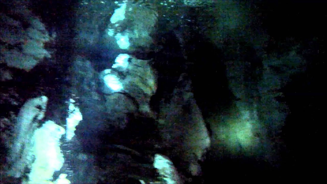 Palau - Chandelier Cave - YouTube