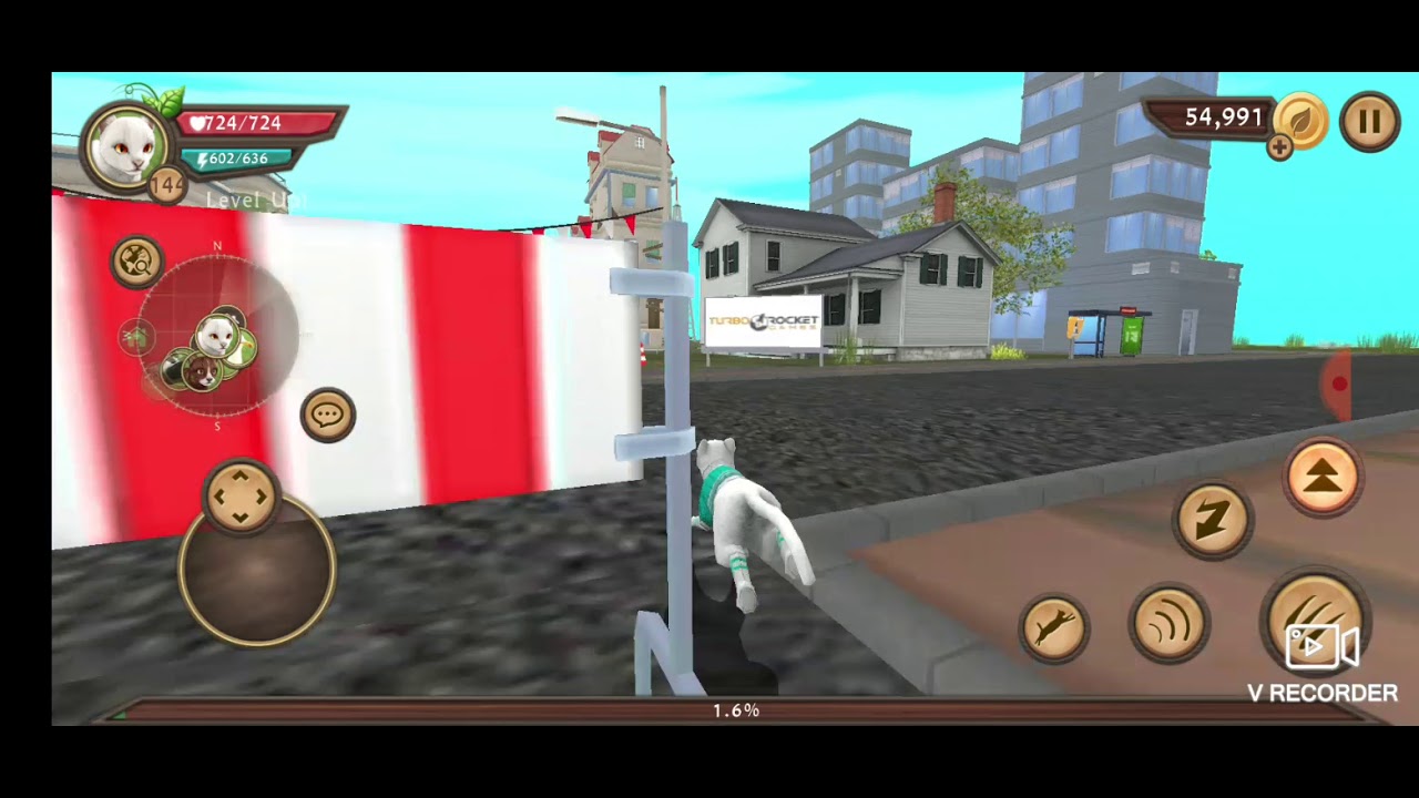 Defeating all the Bosses in Cat Simulator! - YouTube