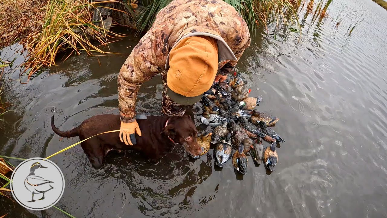 Hunting Ducks and Cooking Them in the Blind! - YouTube