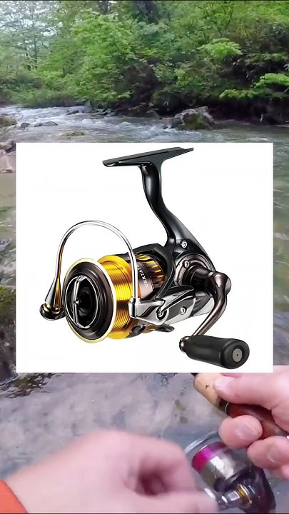 Ultimate trout fishing setup! 😱 - YouTube