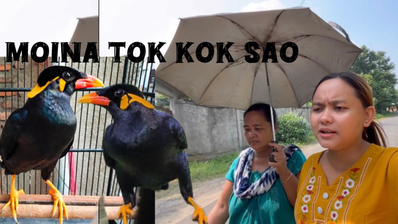 MOINA TOK KOK RWNG MANI || #kokboroknewvideo #esther #khumulwng - YouTube