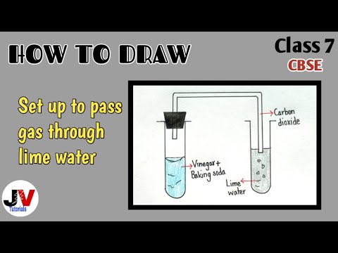 setup to pass gas through lime water diagram class 7| set up to pass ...