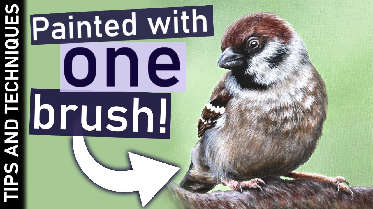 How to paint a bird in acrylics | With one brush | Perfect beginner ...