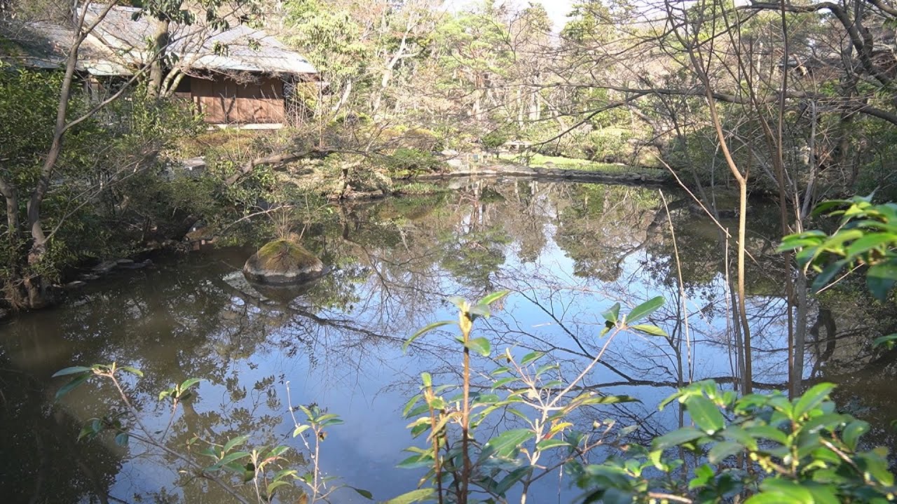 Nezu Museum offers pre-modern Japanese, East Asian art and garden ...