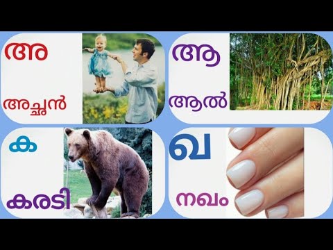 Malayalam Alphabets | Malayalam Aksharamala | മലയാളം അക്ഷരമാല ...