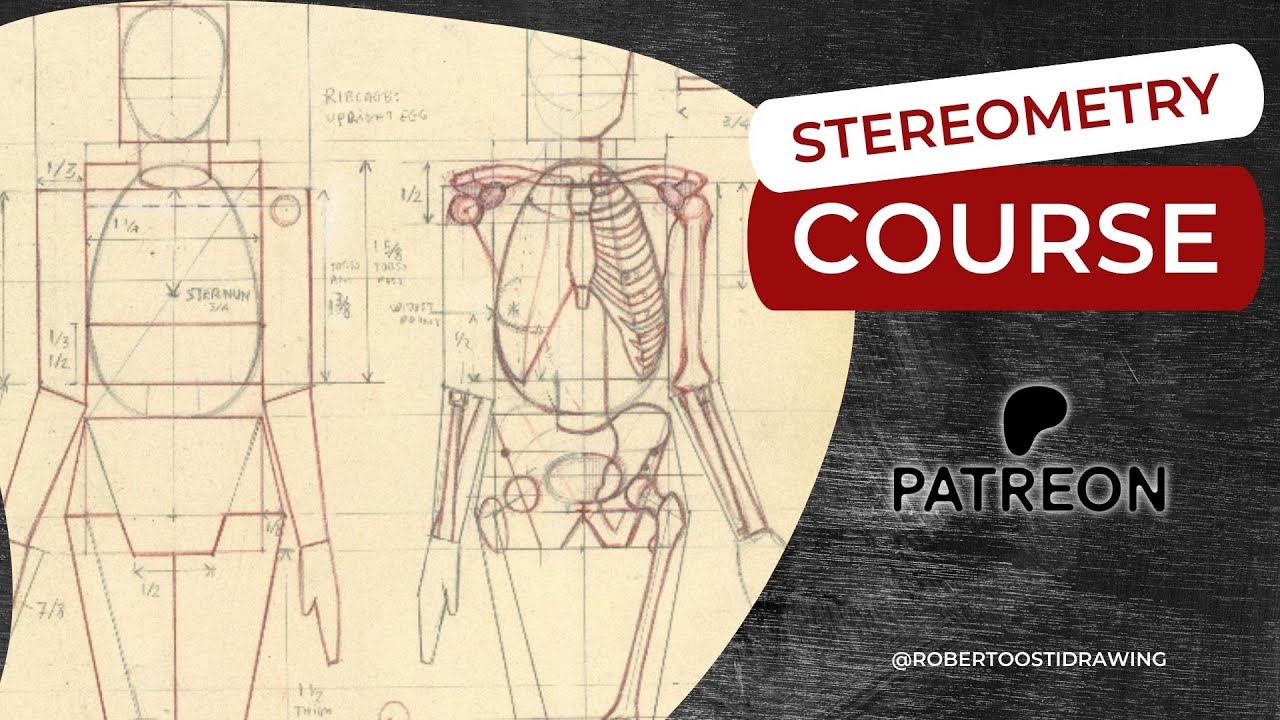 Layering Anatomy, from stereometry to skeleton to superficial muscles ...