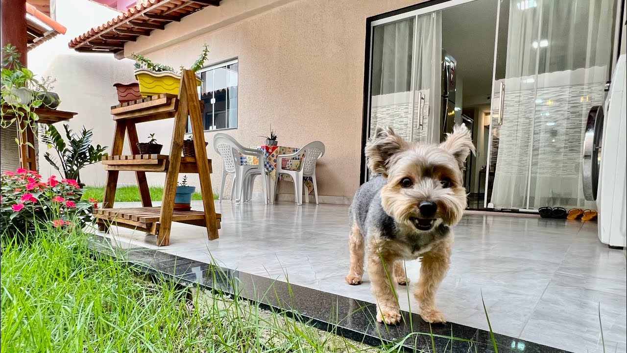 Casa com Quintal, reformada, uma gracinha para a sua família morar bem ...