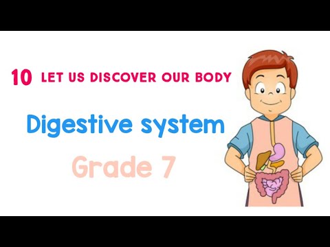 Let us discover our body |Unit 10 |Health |Grade 7| Part 1 - YouTube