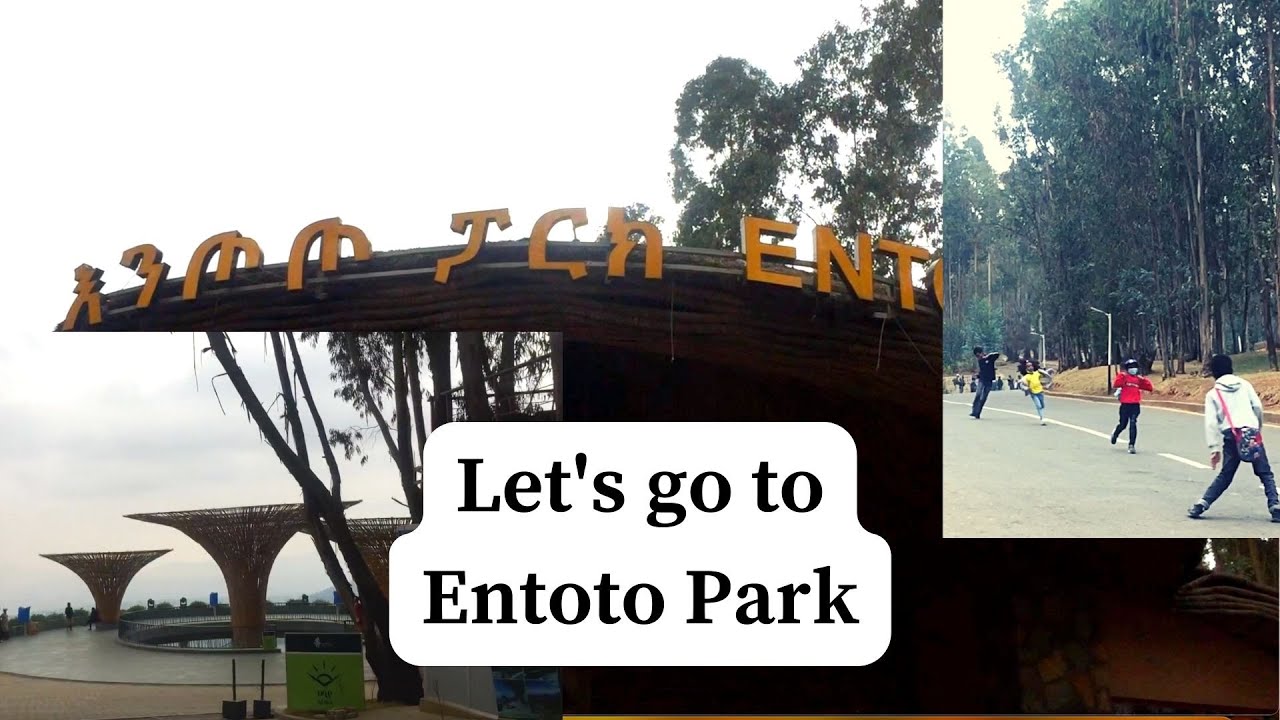Let's go to Entoto Park - YouTube