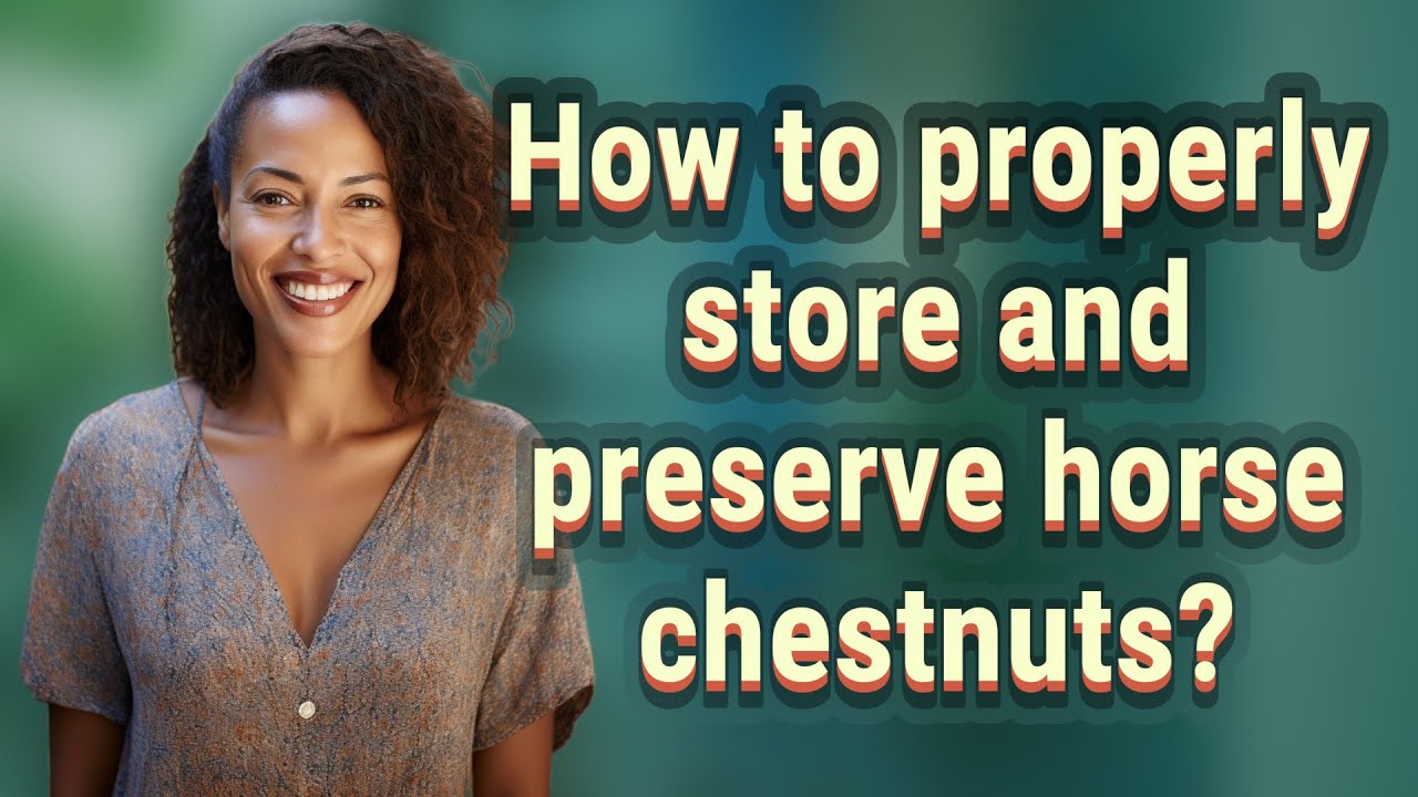 How to properly store and preserve horse chestnuts? - YouTube