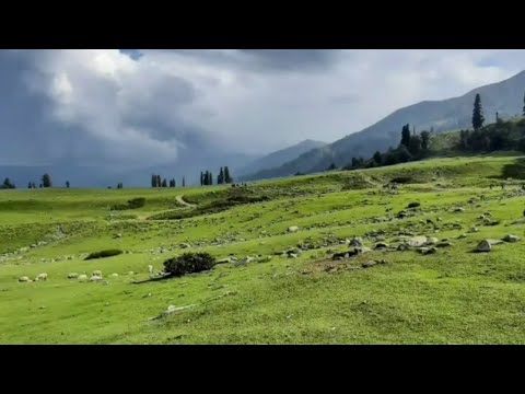 Beautiful view of bhaderwah padri ⛰️😍 - YouTube