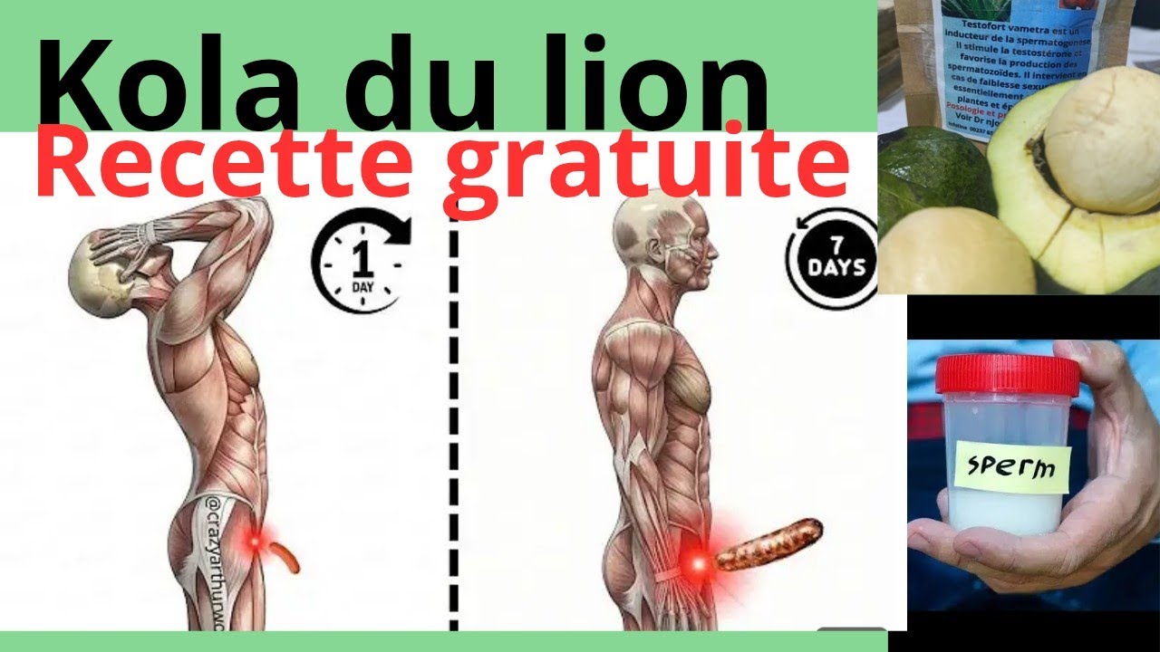 #cola du Lion :recette gratuite efficace contre la faiblesse sexuelle ...