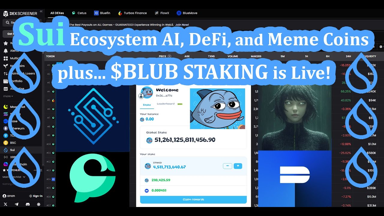 Sui Bridge Tutorial - Stouy Crypto