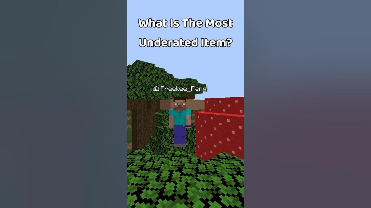 What Is The Most Underrated Item In Minecraft? - YouTube