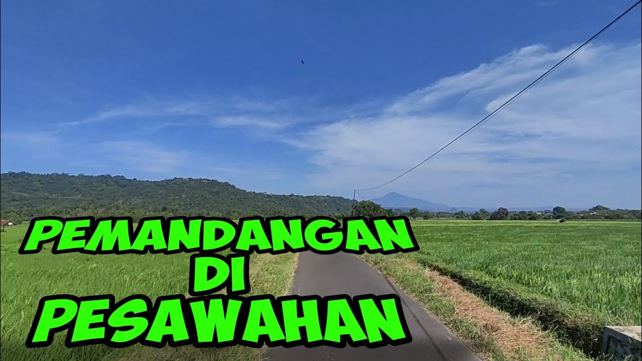 Suasana di Pesawahan Adem banget 🐦🦅 - YouTube