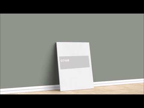 Dyo Gri - Beyaz İç Cephe Boya Renkleri