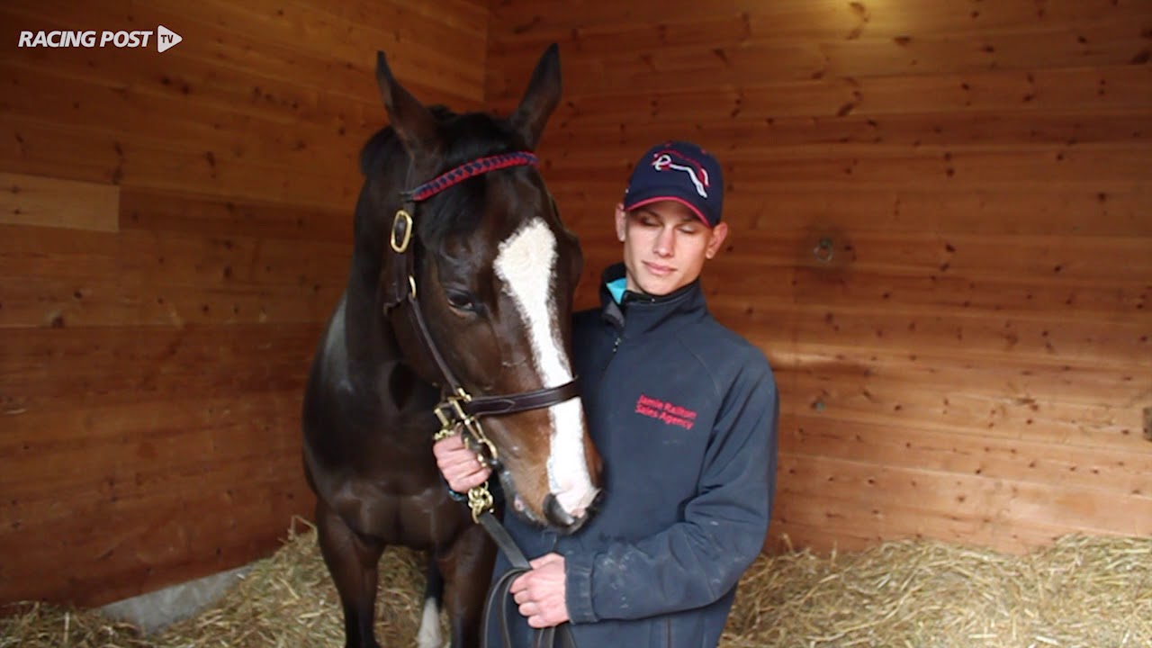 Tatts December Mares Sale 2017: Jordan Vaughan and Quiet Reflection ...