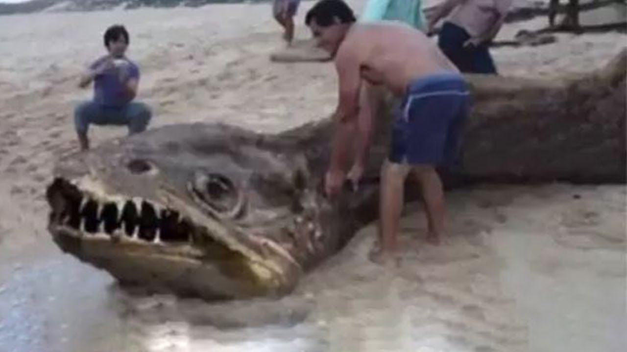 Unsettling Ocean Discoveries That Haunt Scientists - YouTube