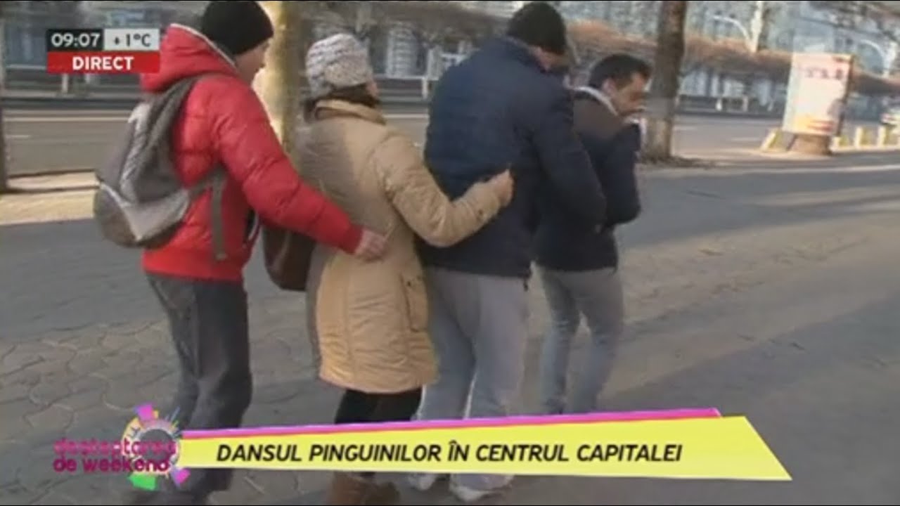 Gabi Marcu și dansul Pinguinilor (Jurnal TV) - YouTube