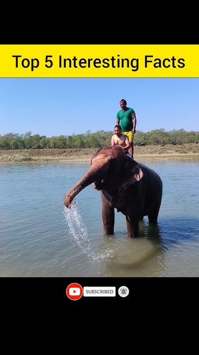 Top 5 Interesting facts in telugu | telugu facts | Interesting facts | #shorts #youtubeshorts # ...