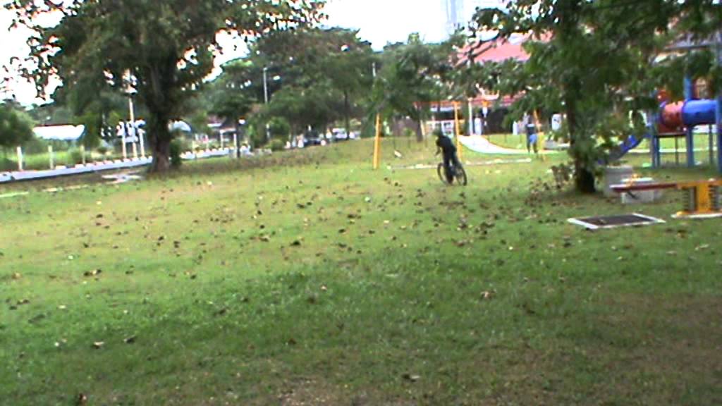 tree jumping - YouTube