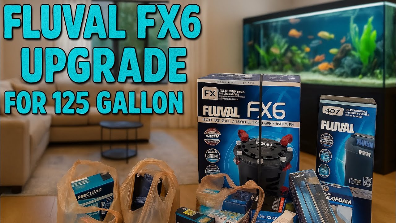 Aquarium Filter Upgrade That Works! Fluval FX6 x2 + AC110 Cleaning ...