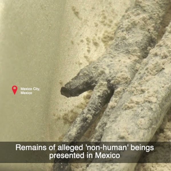 Remains of alleged 'non-human' beings presented in Mexico #shorts - YouTube