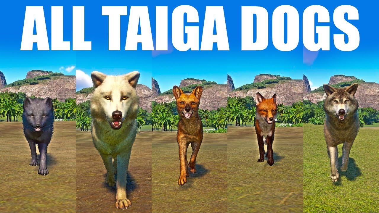 All Taiga Dogs Category Speed Races in Planet Zoo included Arctic Fox ...