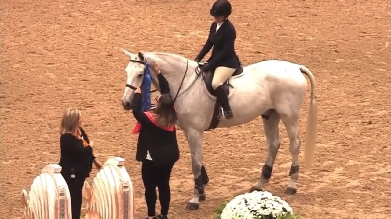 Cool Carlsson & Rachel Nussbaum Barnwell 🥇Adult Eq OF National Horse ...
