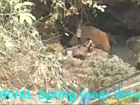 Goa Kesarval Spring (near Verna) - YouTube