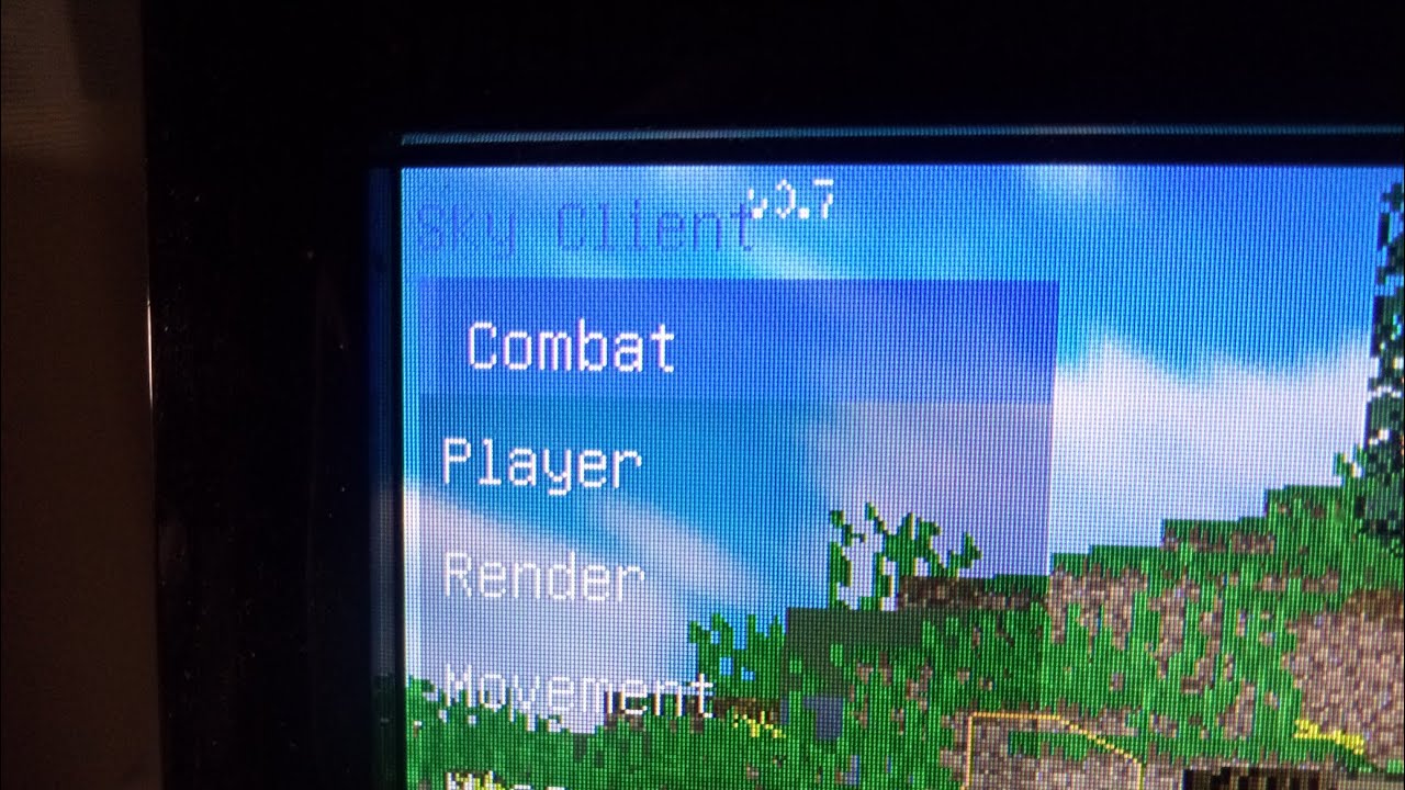 Обзор чита SkyClient с Борей на бв соло!!!!!!! - YouTube