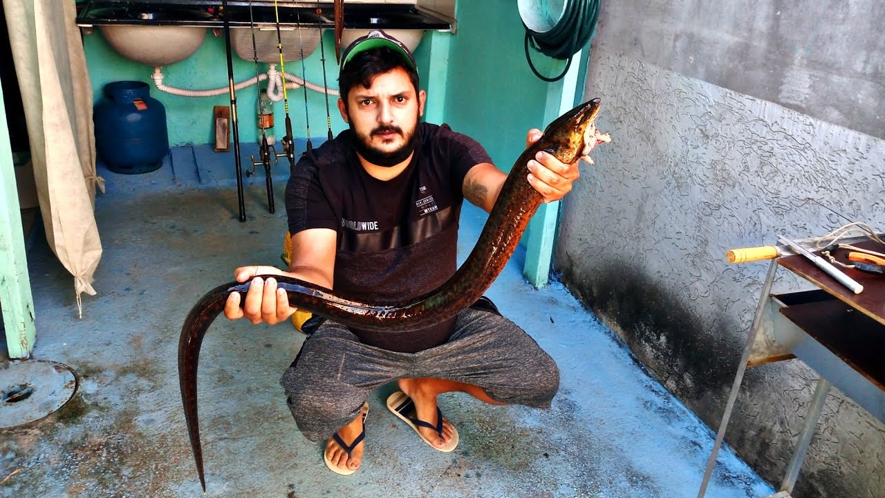 Como tratar Mussum Gigante aprenda. - YouTube