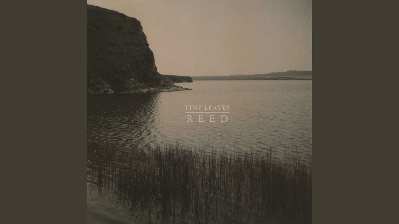 Reed - YouTube
