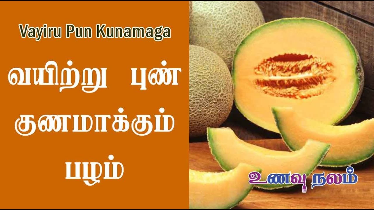 Mulam Pazham | Mulam Pazham Fruit Benefits in Tamil | Muskmelon Tamil ...