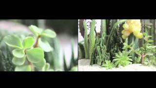 UNTITLED I & II PLANT THE FUTURE 2011