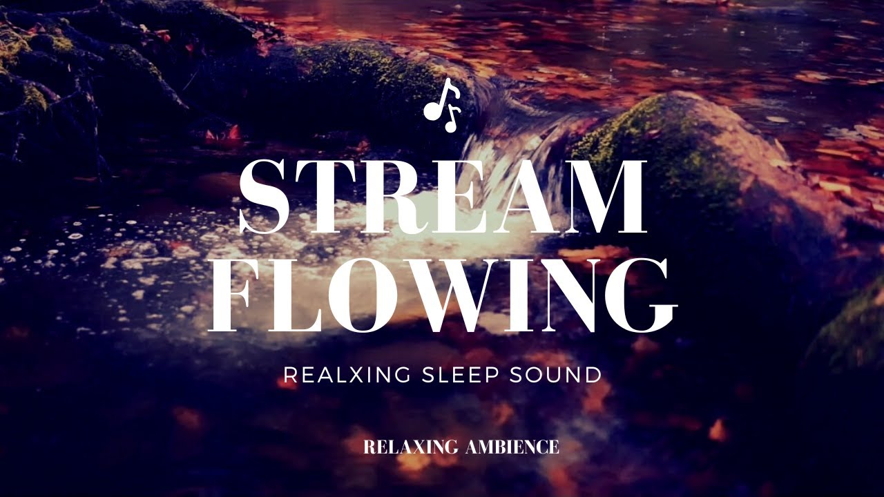 Flowing Stream Looping Video for Relaxing or Focus - YouTube