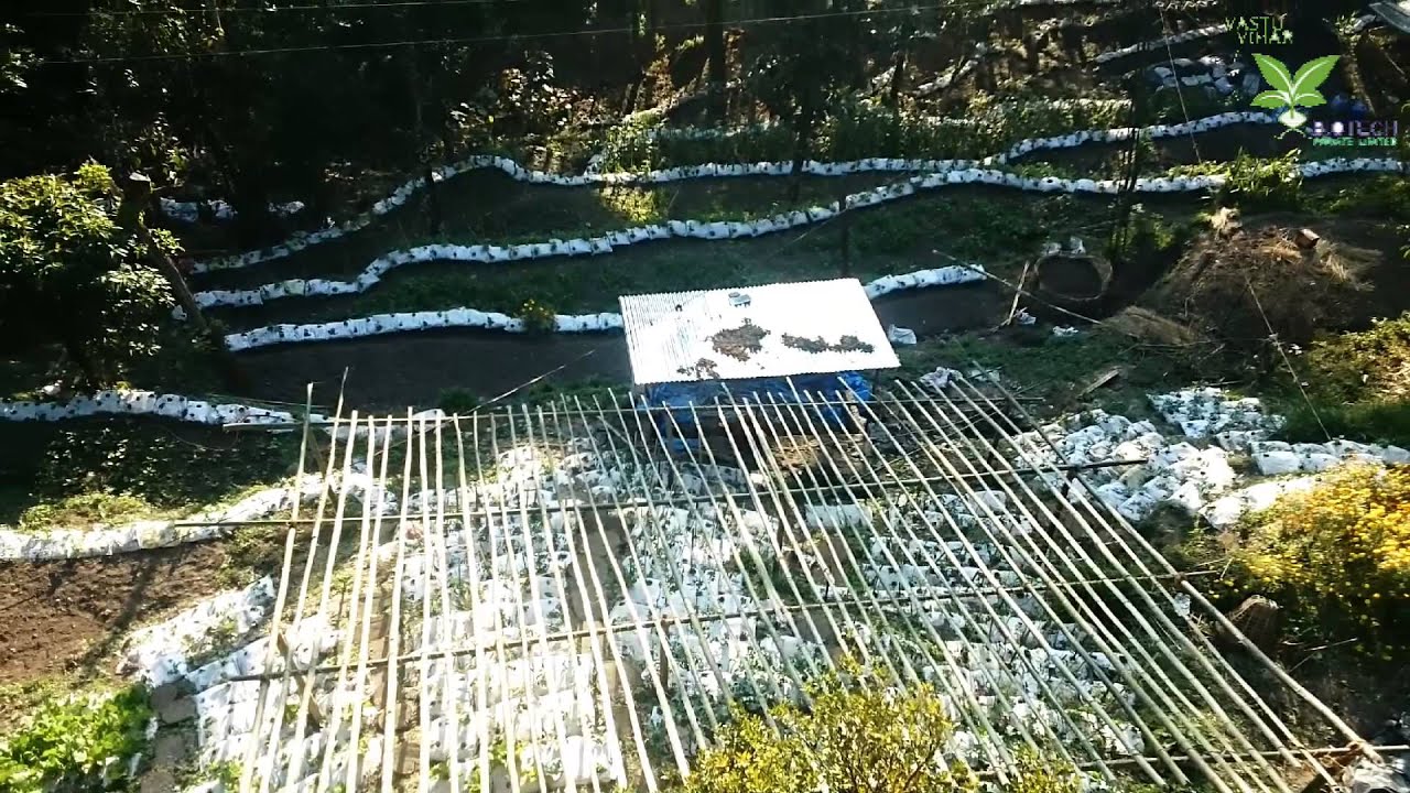Organic Farming In Sikkim By VVBiotech - YouTube