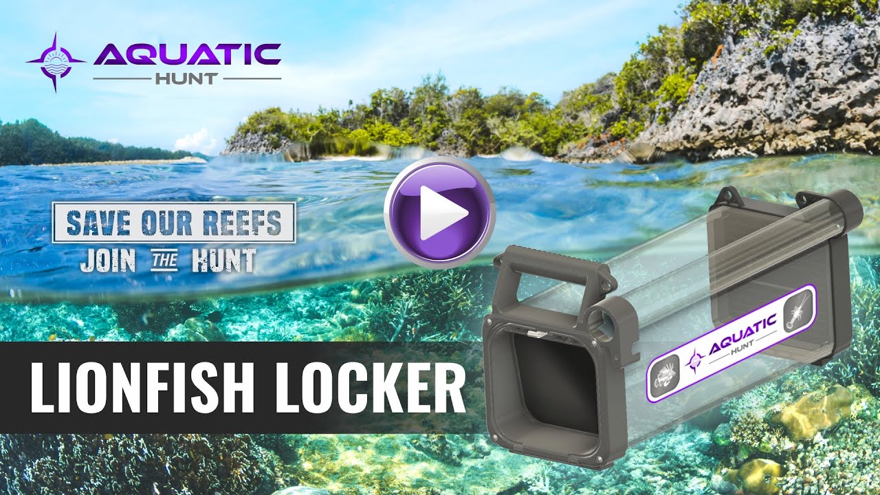 Introducing the Lionfish Locker - YouTube