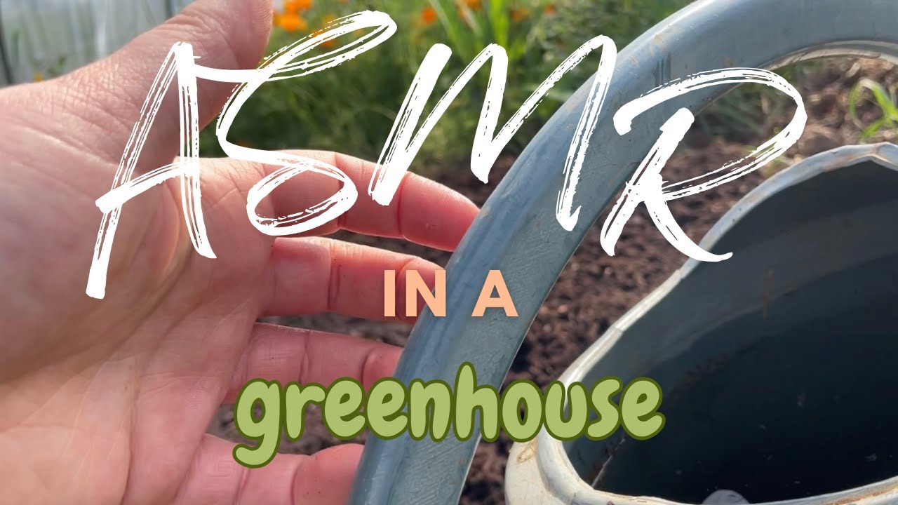 ASMR tapping in a GREEN HOUSE 💚 (Plant a TOMATO Plant with us 🍅) - YouTube