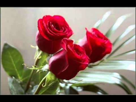 Yaqut Neriman1.wmv