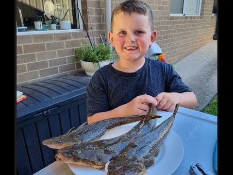 Swan River Flathead Catch and Cook with the Young Gun - YouTube