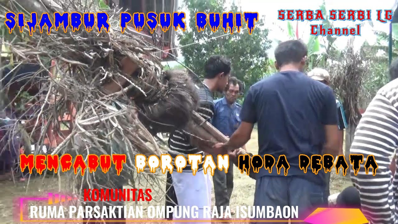 Manghehei Borotan || Mencabut Kayu Tambatan Kuda Persembahan Kepada ...