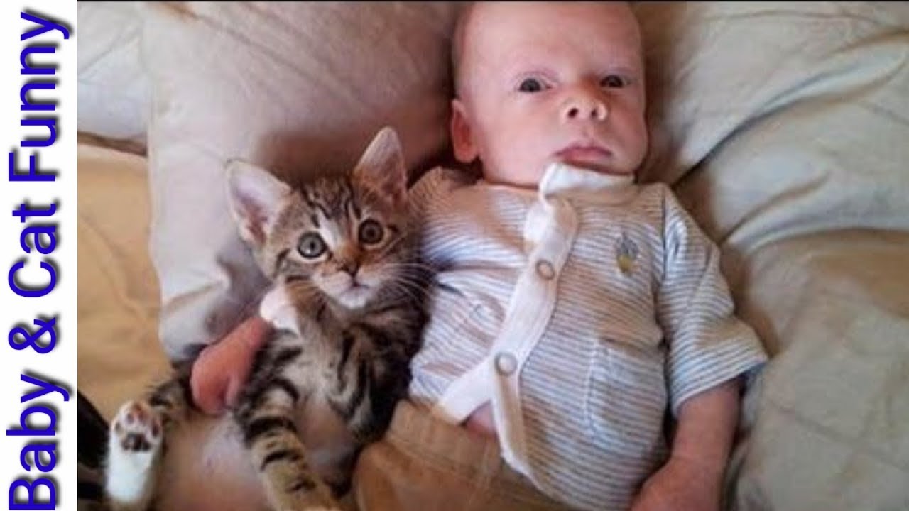 Baby and Cat Fun and Cute | Funny Baby Video - YouTube