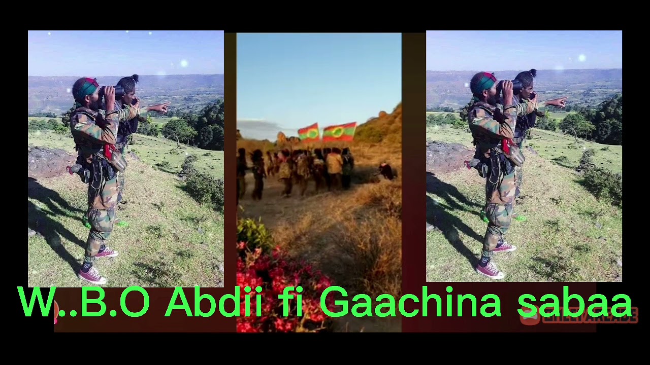 WBO Abdii sabaa qarqara Finfinnee gahe kunoo - YouTube