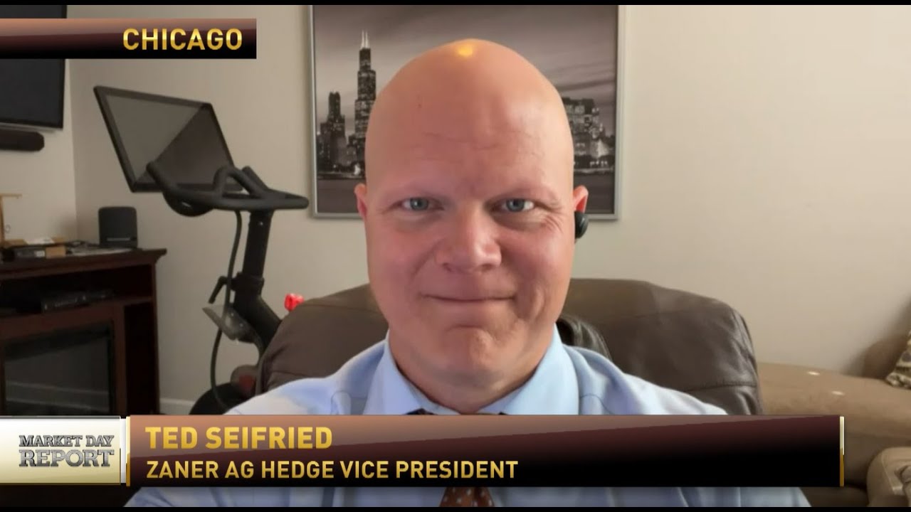 Ted Seifried Talks Market Sell off, Energies, and Hogs with RFD-TV ...