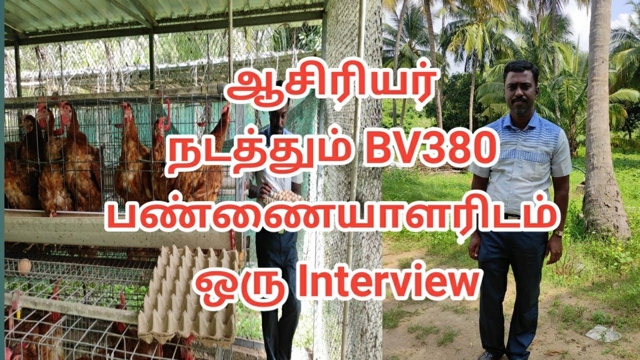 Interview with BV 380 dealer in Tamil || Iyyappan dealer interview in ...