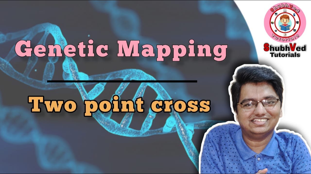Genetic Mapping | Two point cross - YouTube