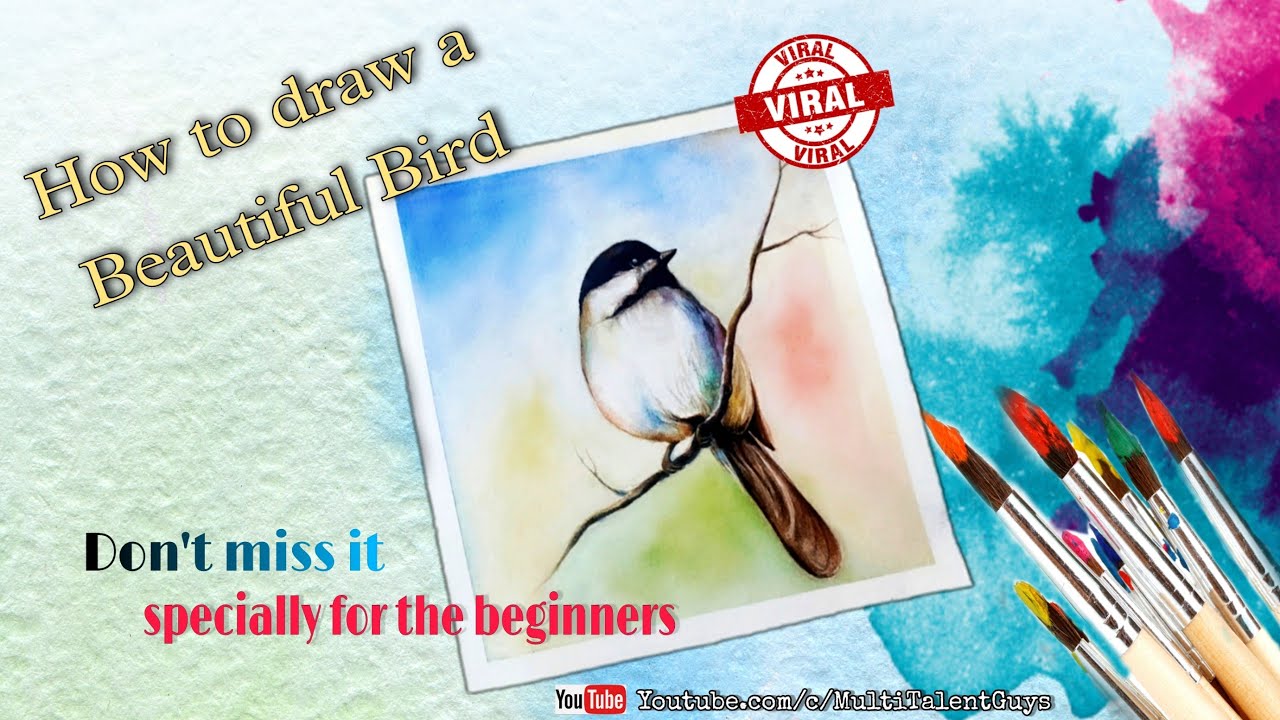 Drawing of a realistic bird using water colours l step by step ...