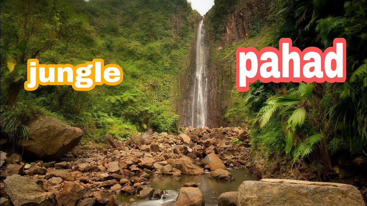 jungle#pahad#how to jungle#tree#how to tree#how to pahad# - YouTube