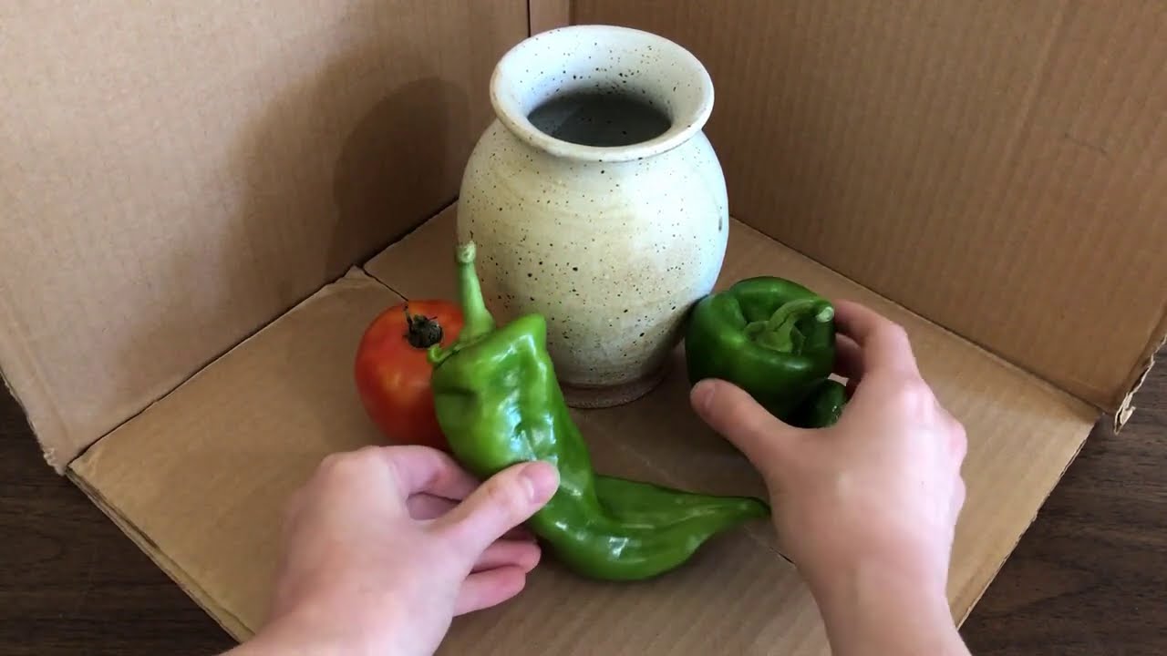 How to Set Up a Still Life - YouTube